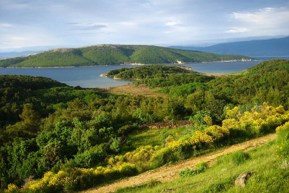 Lopar Apartments Island of Rab Croatia Vacation Private accommodation